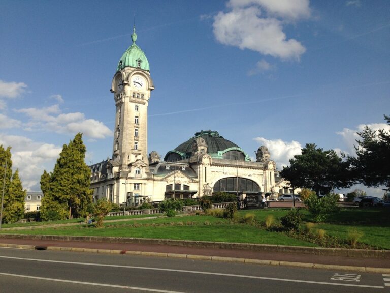 N°1 Limoges Walking Tour 2h Tour Guides France The Best Of France