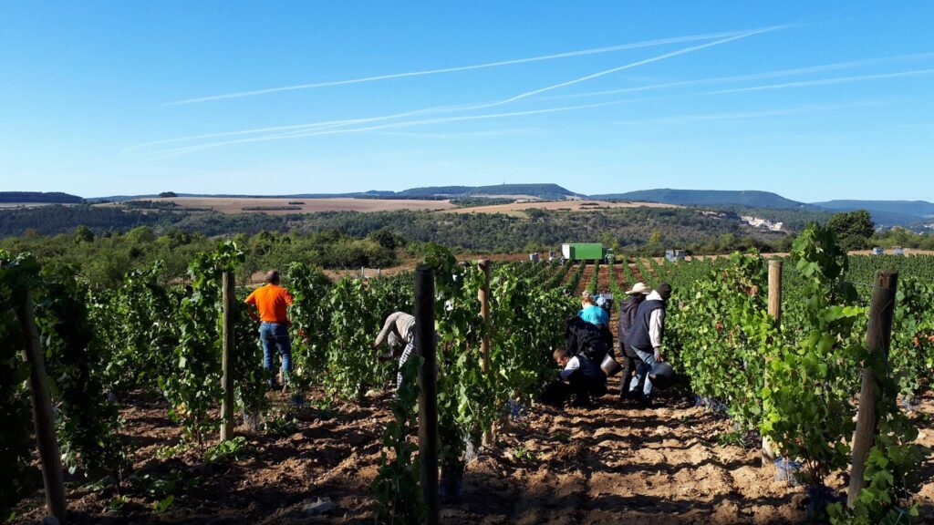 N°1 Talant Walking Tour 2h Tour Guides France